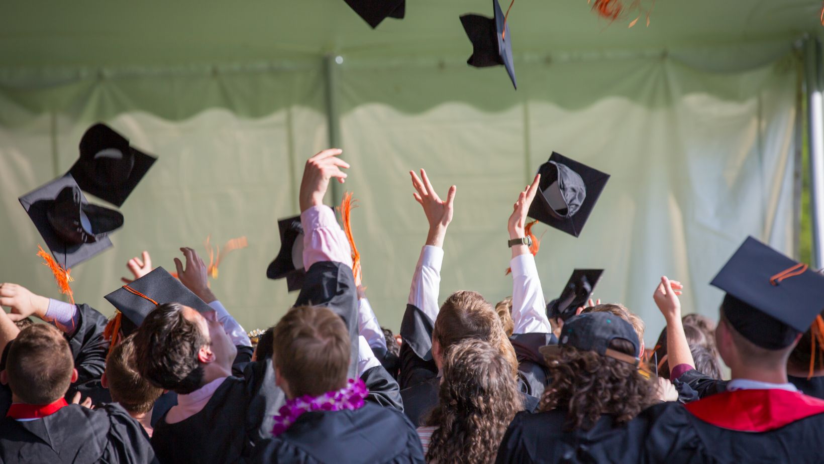 Explore Creativity and Learning at Wilson Academy Fun – A Vibrant ...